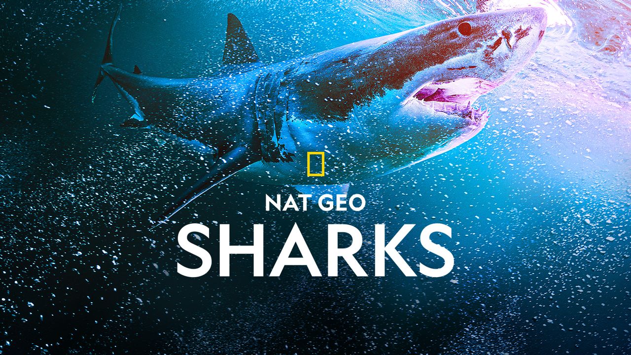 When Sharks Attack: S8: Twice Bitten (10/25/25) - Live Stream - Watch ESPN