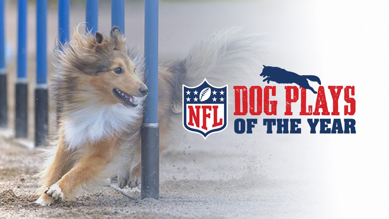 NFL Dog Plays of the Year (2/2/24) - Live Stream - Watch ESPN